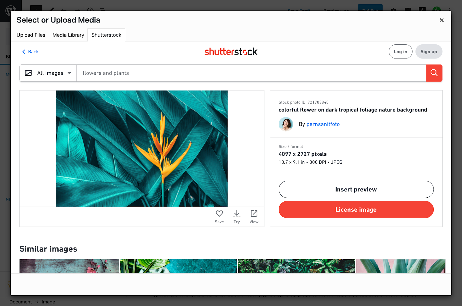Shutterstock is WordPress VIP's newest Featured Technology Partner